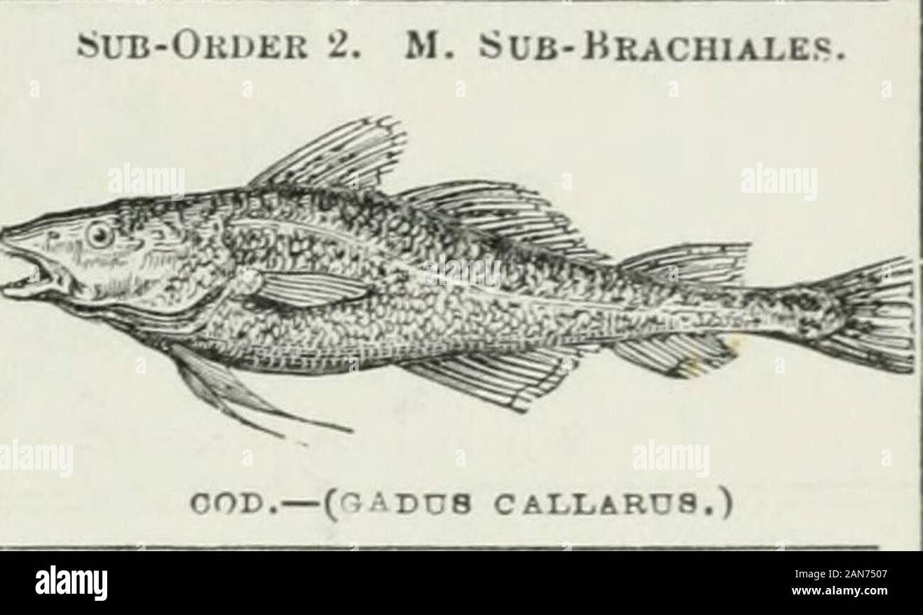 Oip hi-res stock photography and images - Alamy