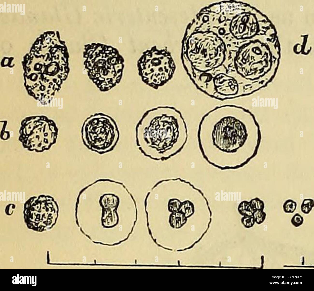 Continuous conduction hi-res stock photography and images - Alamy