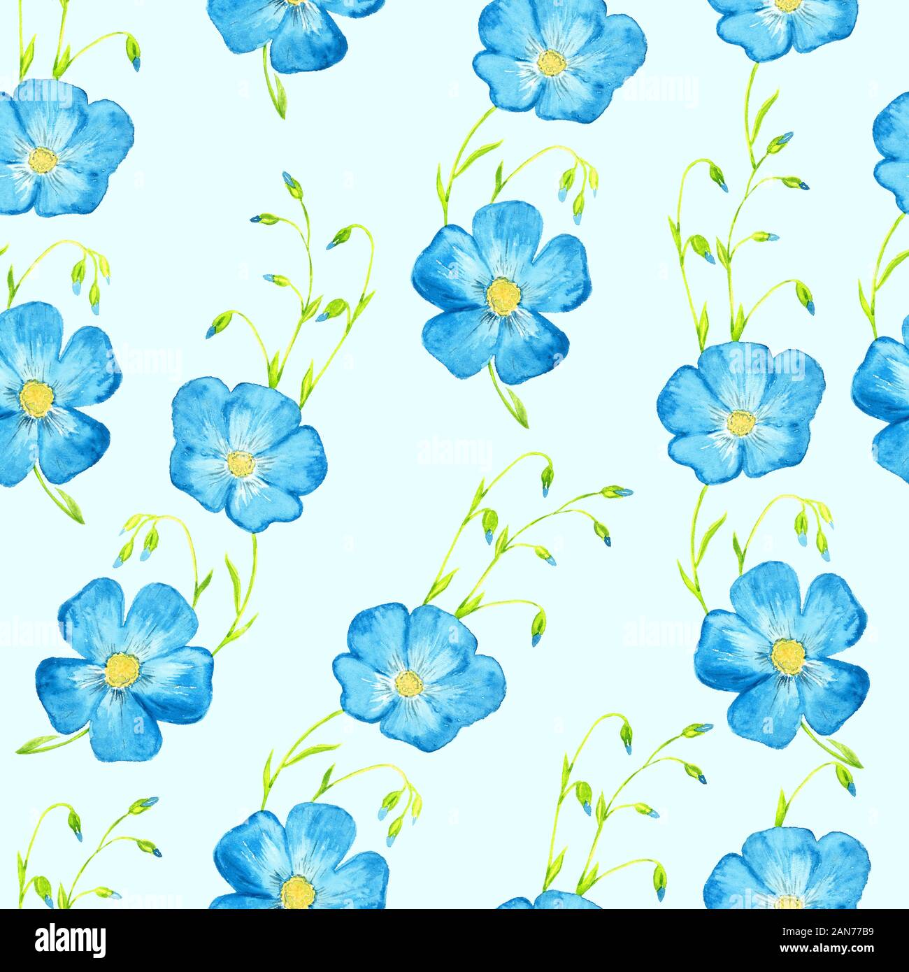 Linum perenne (perennial flax, blue flax, lint) blue flowers on green ...