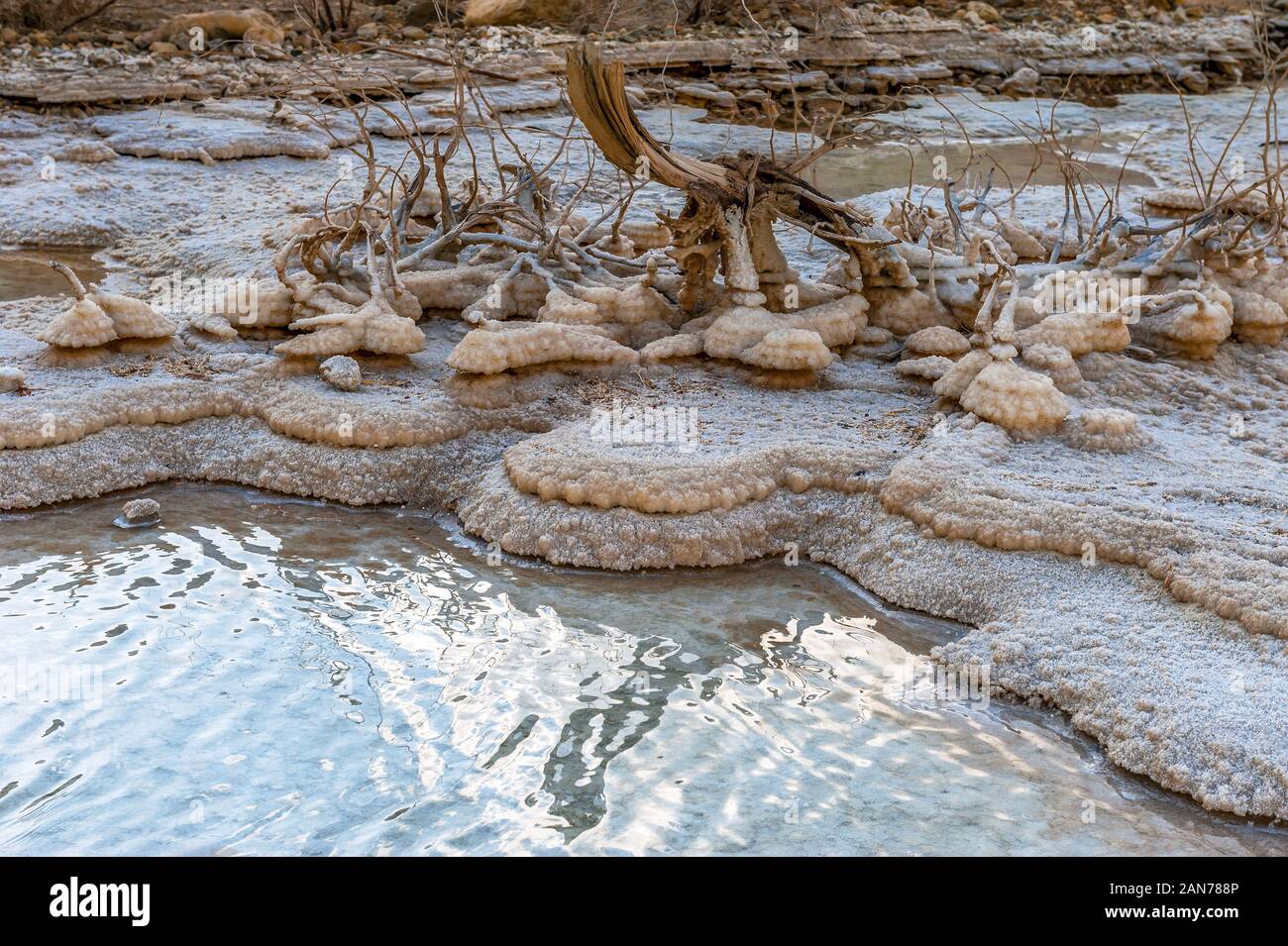 Unique dead sea view hi-res stock photography and images - Alamy