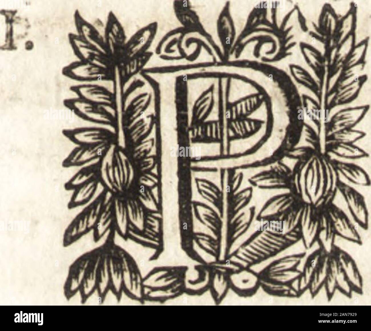 Sel armoniac hi-res stock photography and images - Alamy