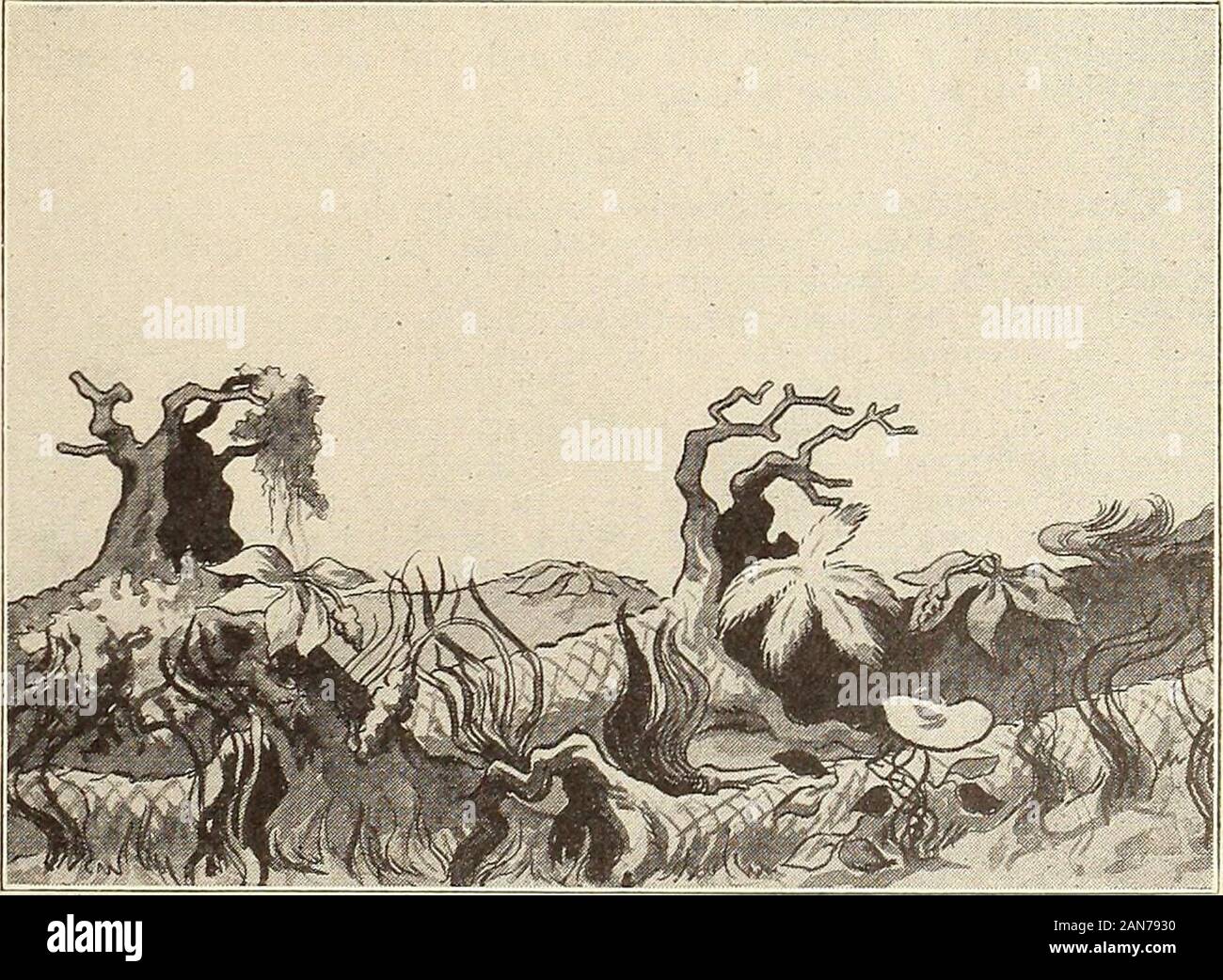 Life cycle of ferns hi-res stock photography and images - Alamy