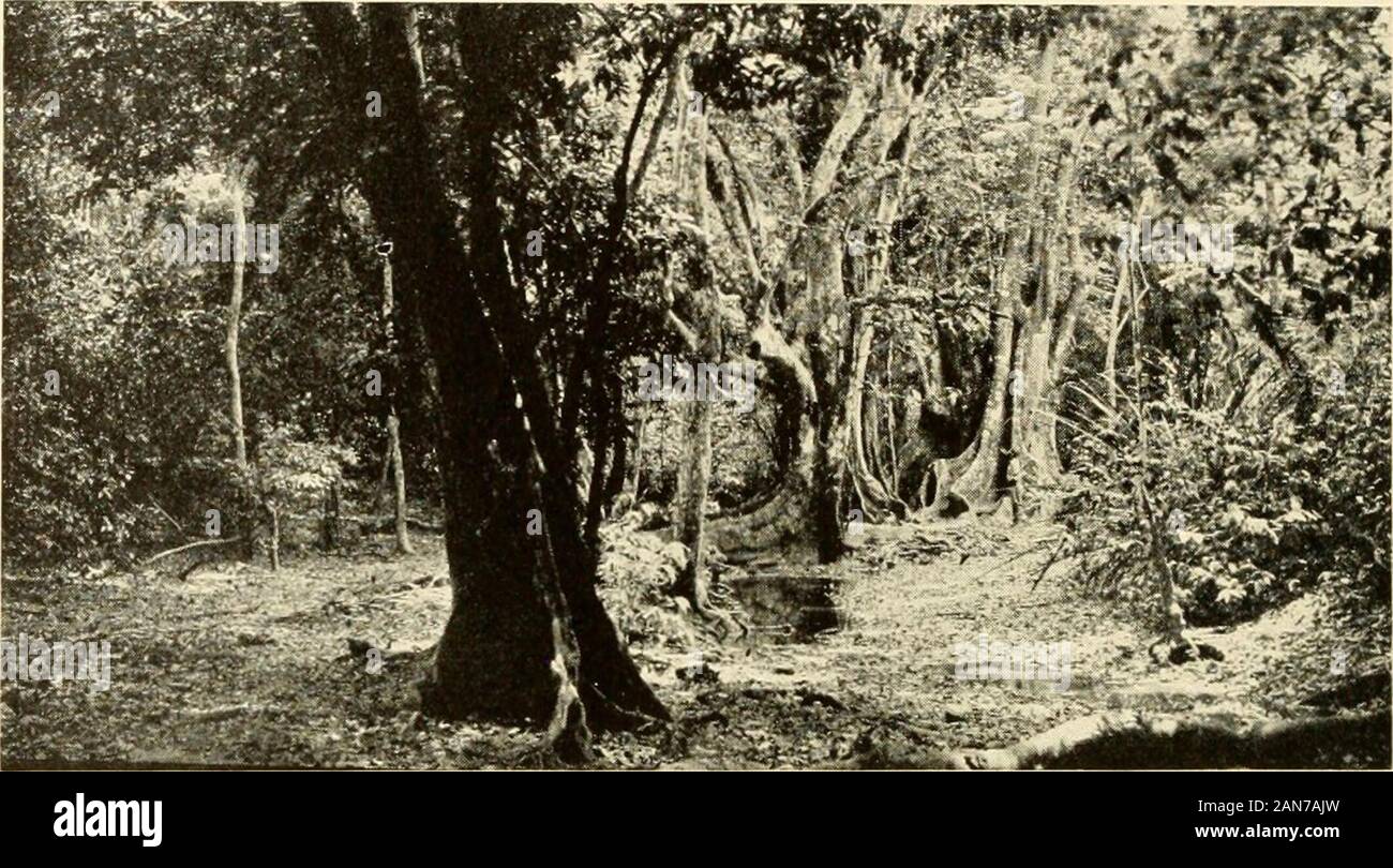 Metates hi-res stock photography and images - Alamy