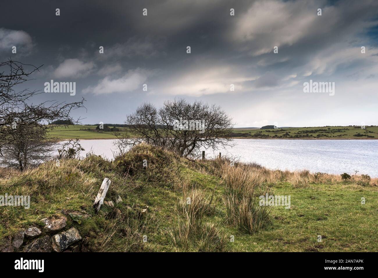 An old traditional Cornish hedge leading down to Colliford Lake on ...