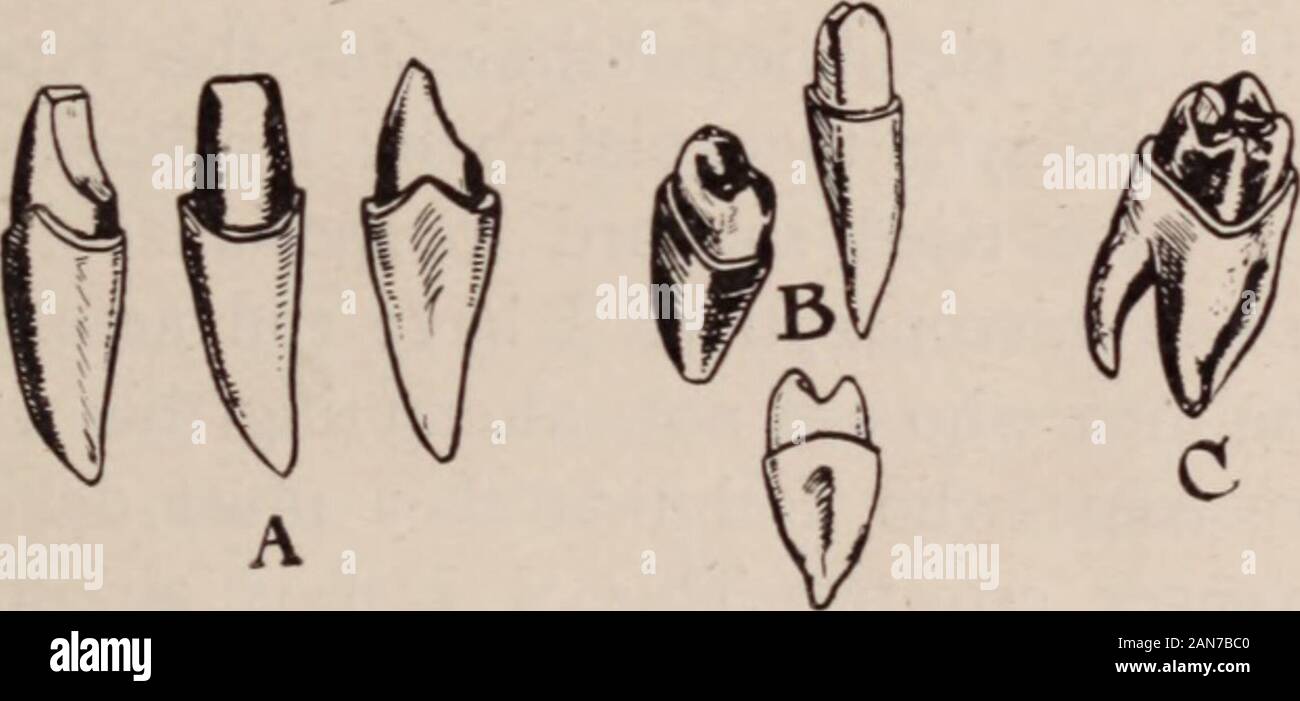 Enamel rods hi-res stock photography and images - Alamy