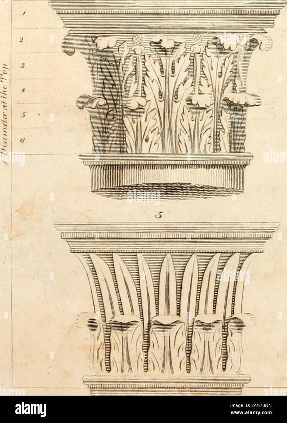The American builder's companion : or, A system of architecture ...