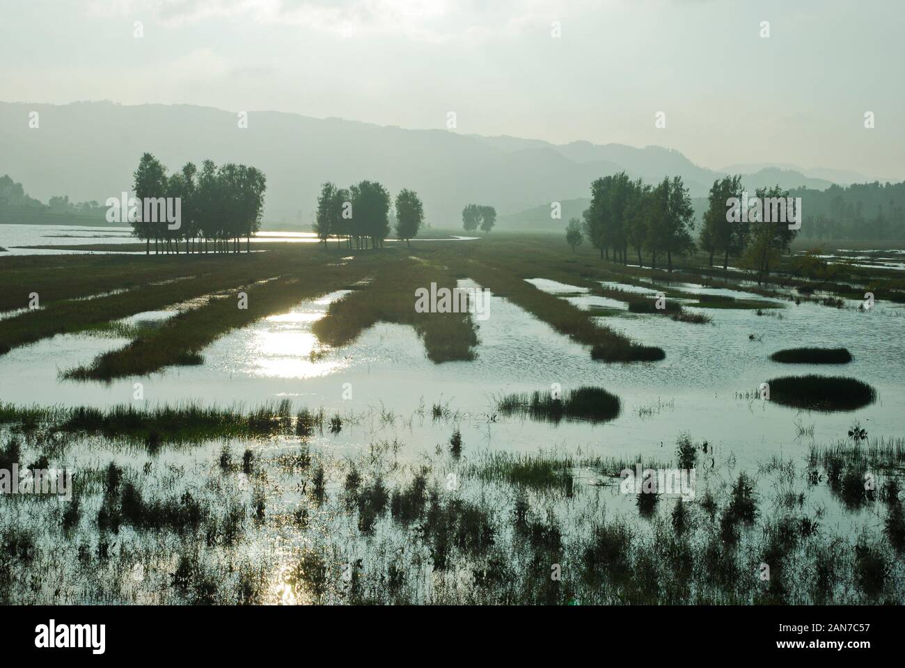 ice paddies in water Stock Photo - Alamy
