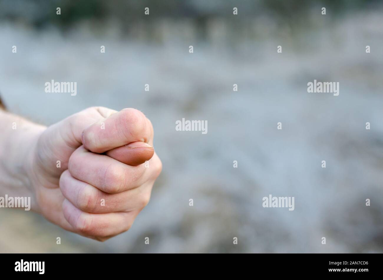 Front View Of Fig Sign - Hand Gesture. Eye level shooting. Selective ...