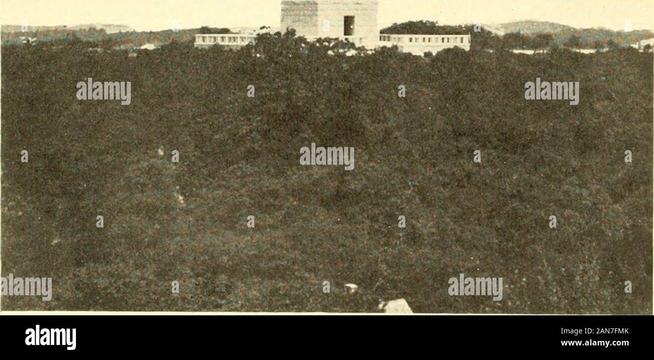 The Pilgrims and their monument . THE PILGRIM MEMORIAL MONUMENT. THE ...