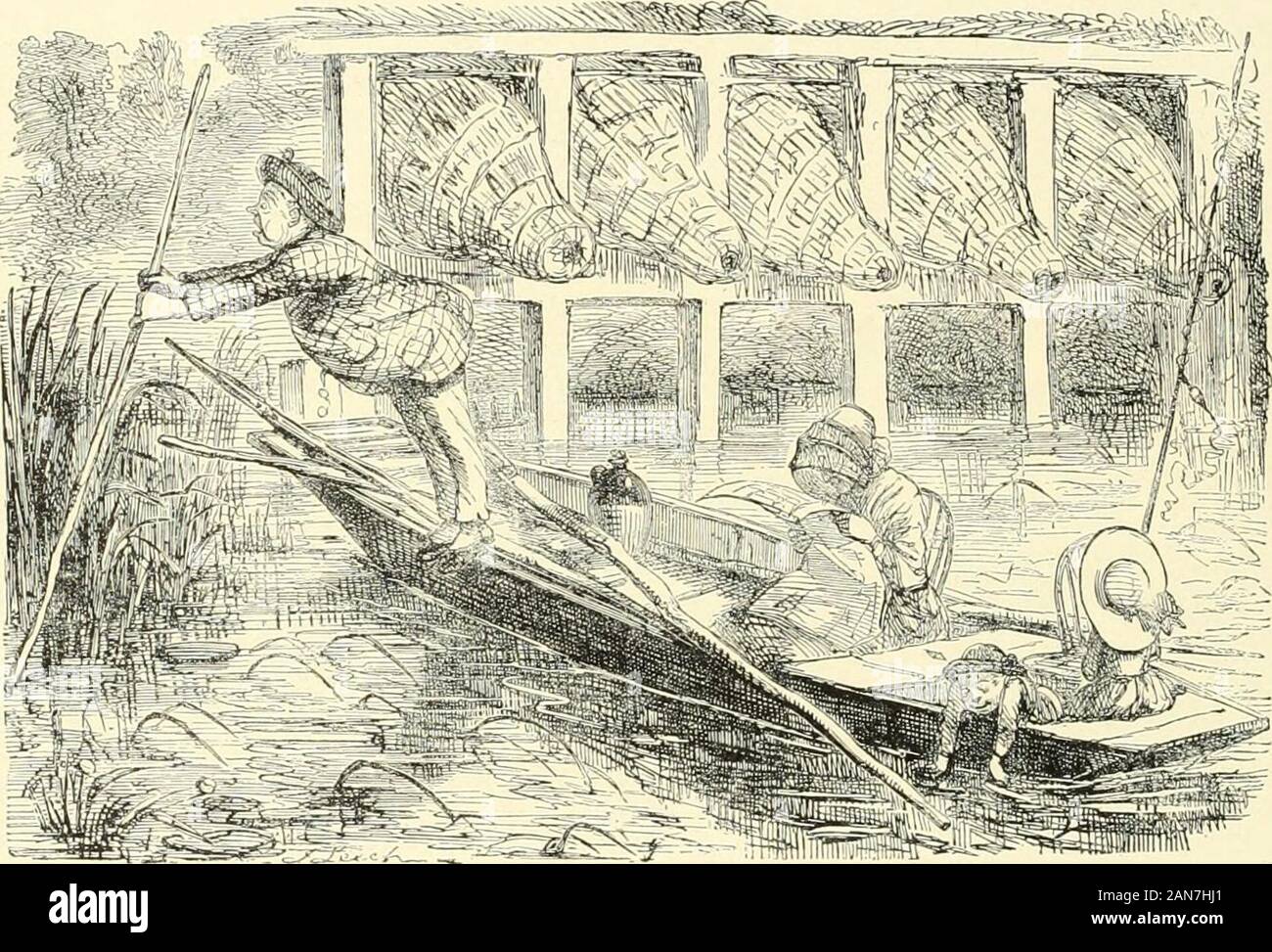 Mr briggs hi-res stock photography and images - Alamy