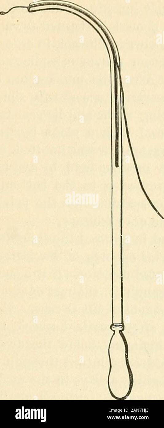Genito urinary organs hi-res stock photography and images - Alamy
