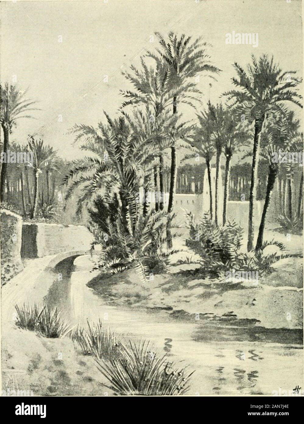 The land of the Moors; a comprehensive description . the existing ...