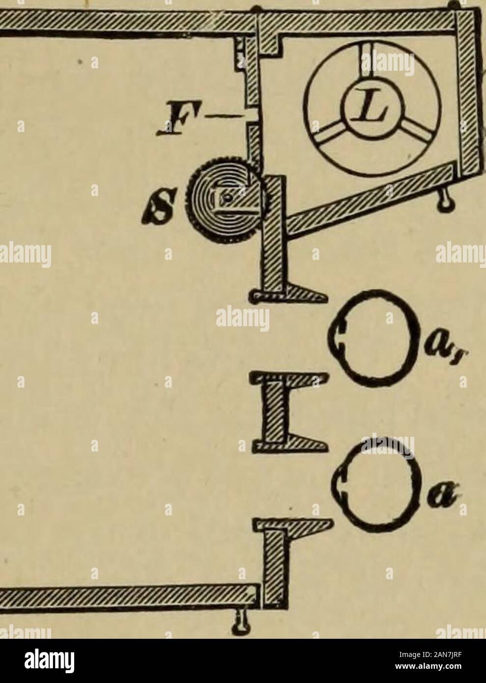 Macropsia hi-res stock photography and images - Alamy
