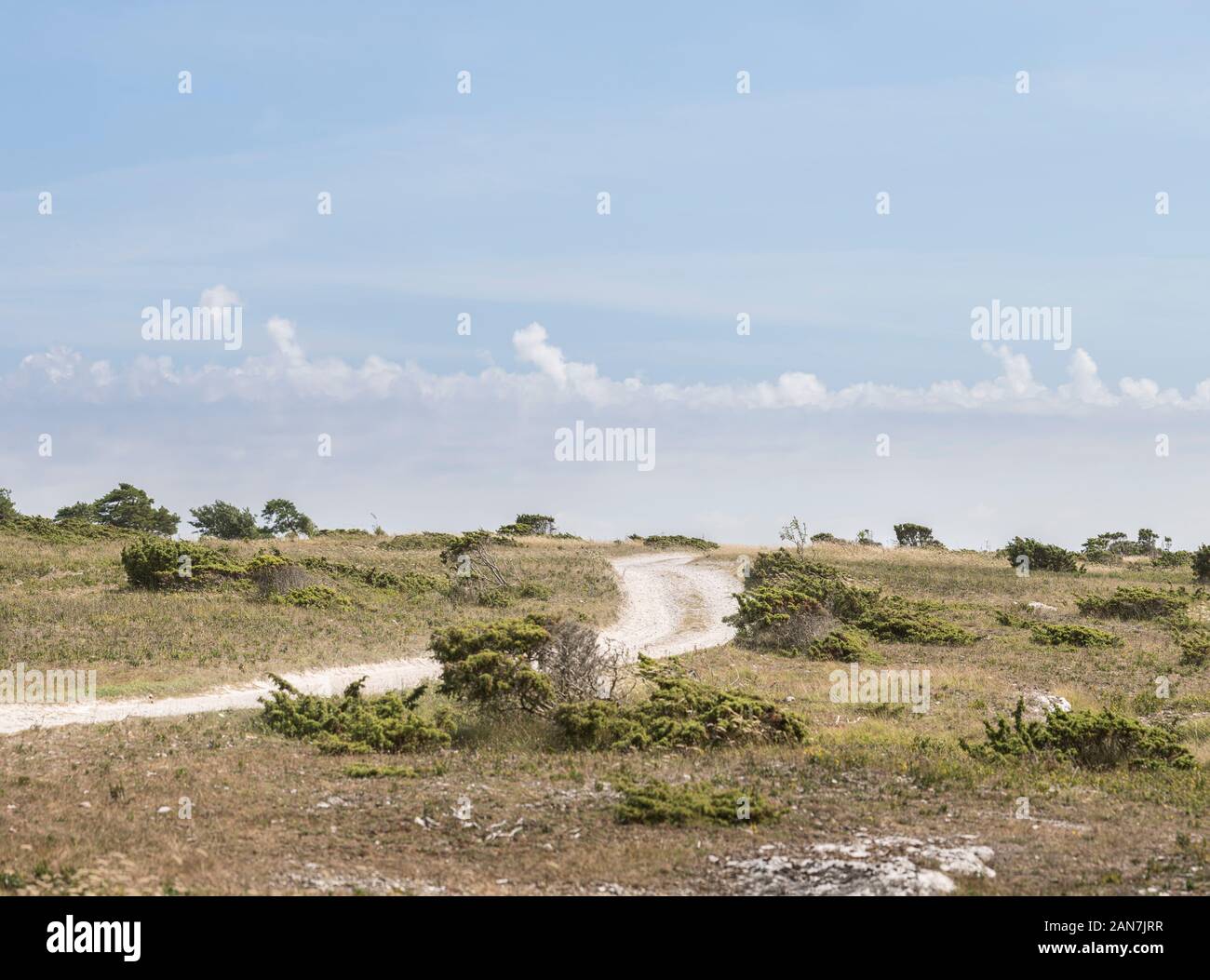 Country road at the coastal landscape, Sysne, Katthammarsvik, Gotland ...
