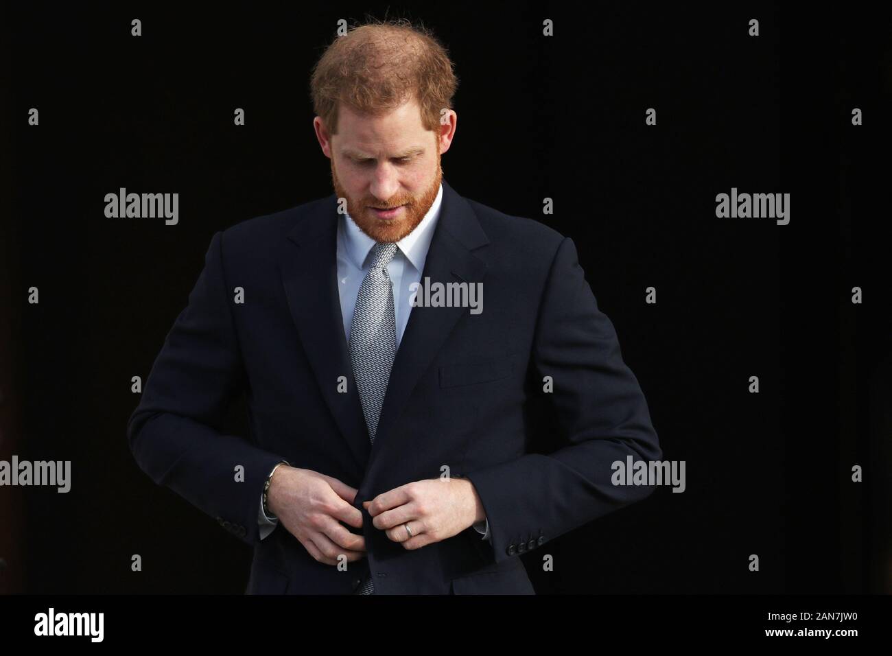 The Duke of Sussex at the Buckingham Palace gardens, London, as he ...