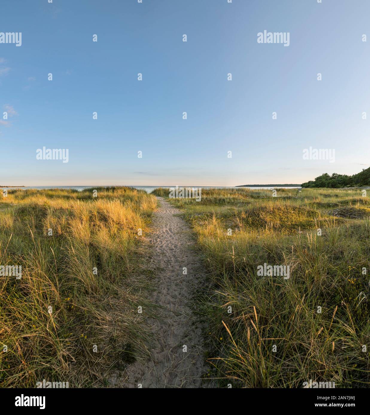 Gotland landscape hi-res stock photography and images - Alamy