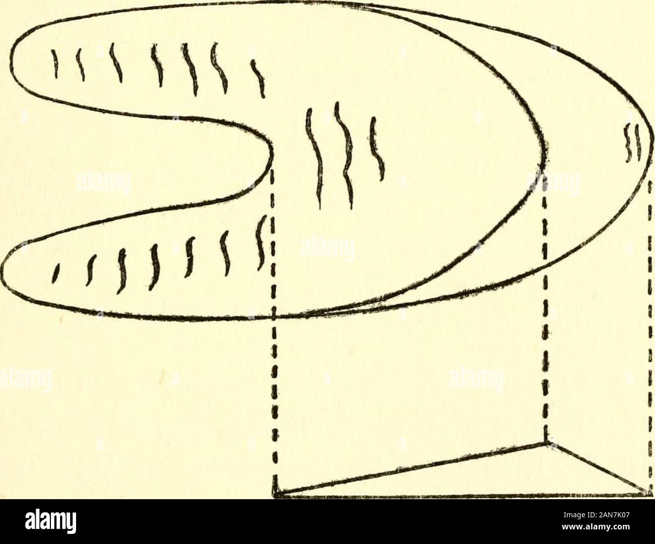 Transverse ridges hi-res stock photography and images - Alamy