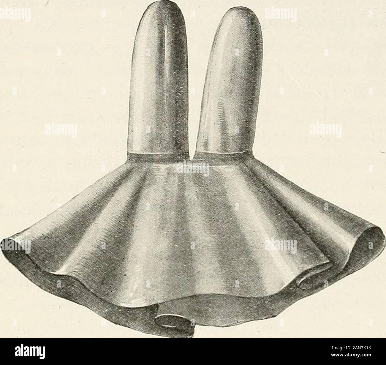 Gynaecology for students and practitioners . gers, the hymen ...