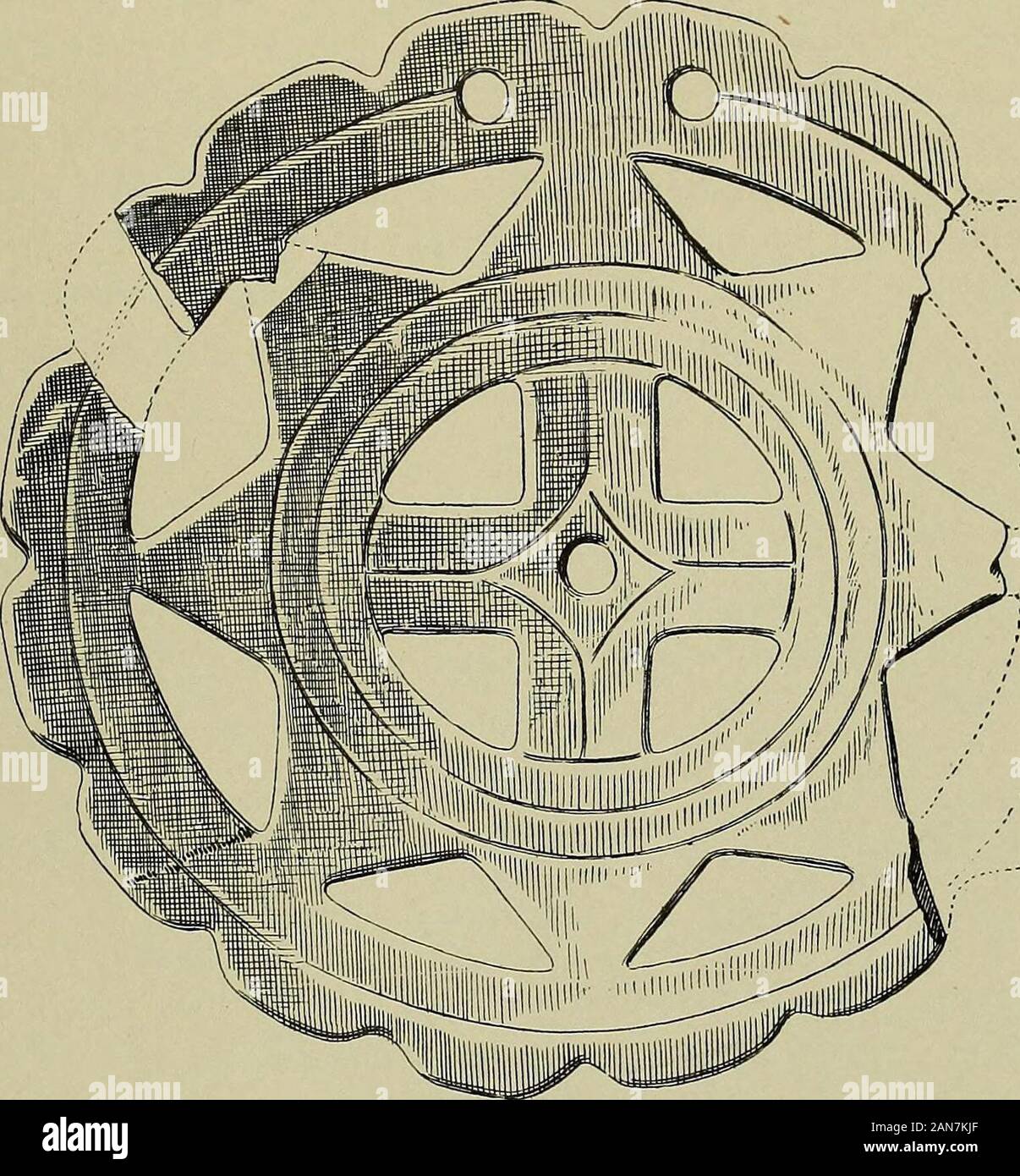 Tibia shell hi-res stock photography and images - Alamy