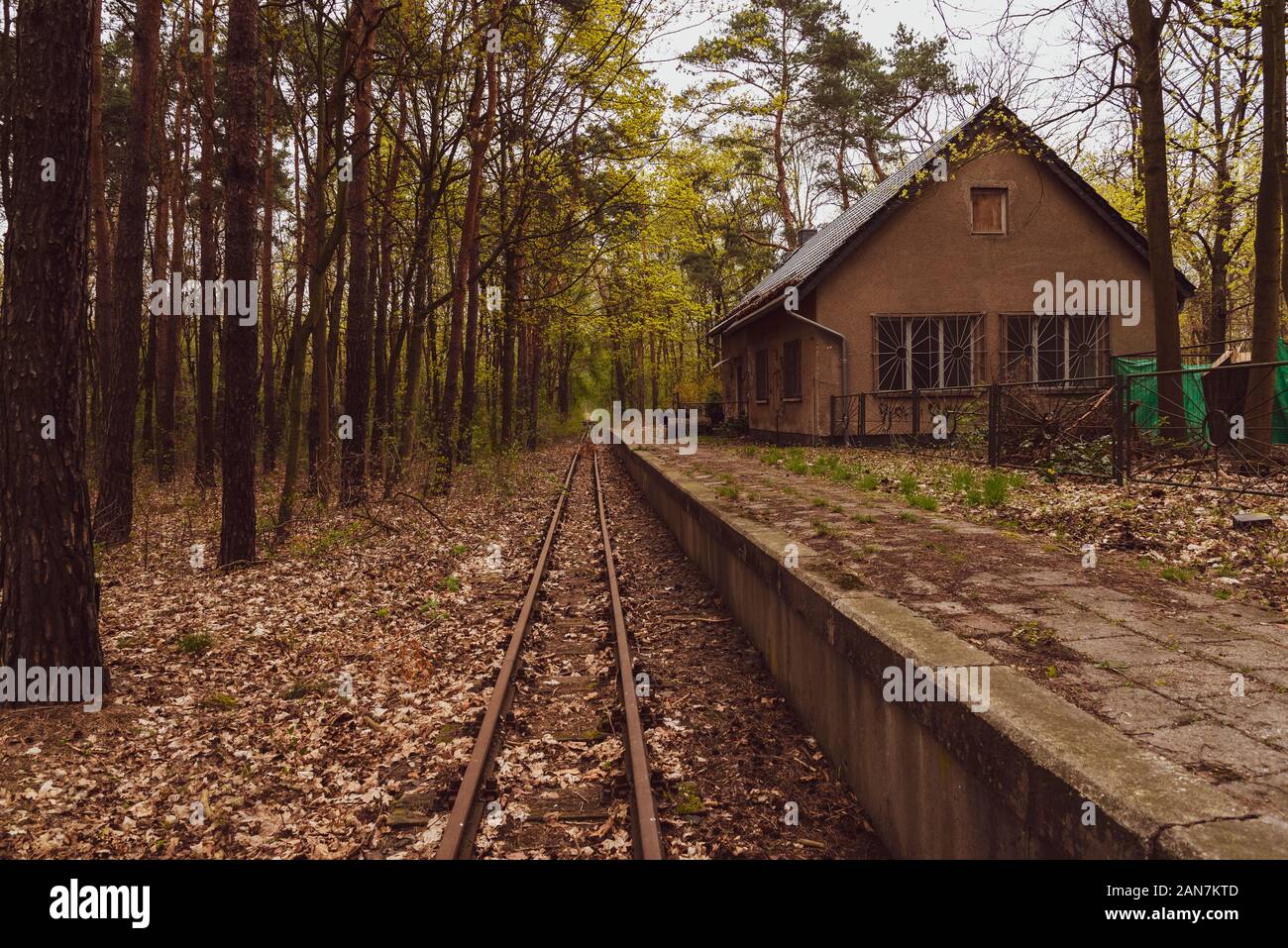 Forest Railroad High Resolution Stock Photography and Images - Alamy