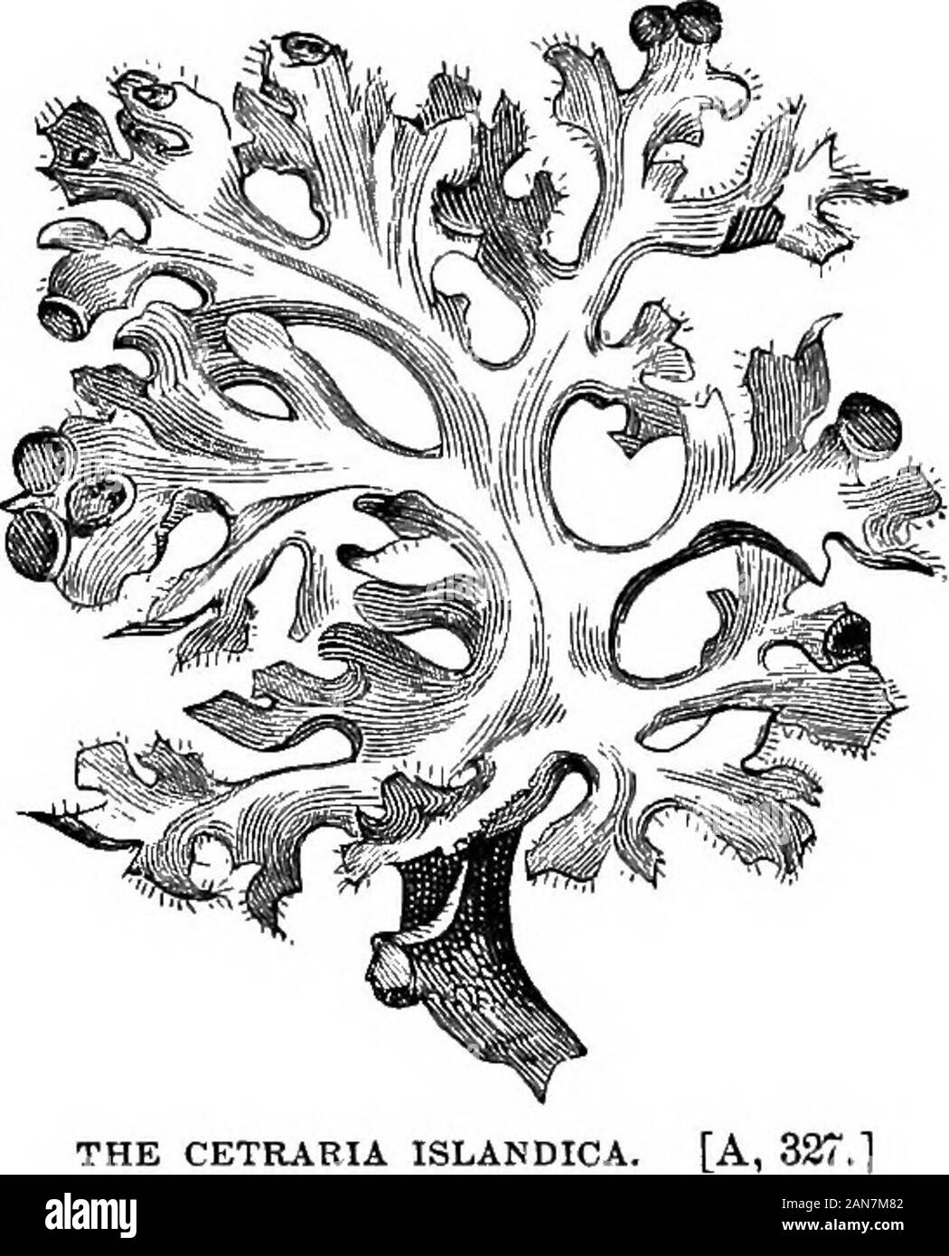 100 fr hi-res stock photography and images - Alamy