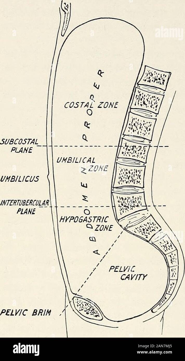 Gynaecology for students and practitioners . possible for record, and ...
