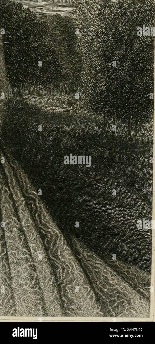 Necklace injury hi-res stock photography and images - Alamy