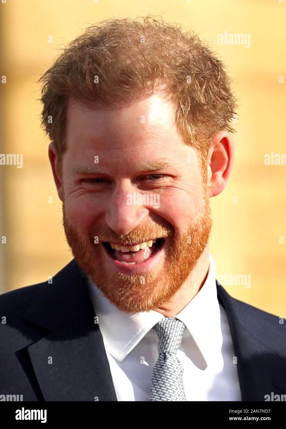 The Duke of Sussex in the Buckingham Palace gardens, London, as he ...