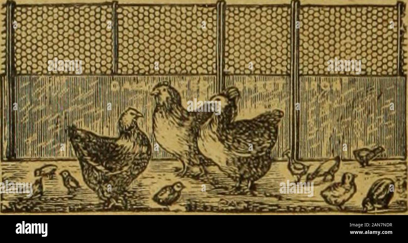 The Mark Lane express, agricultural journal &c . | |— t. o- POULTRY ...
