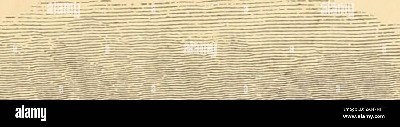 The boys' and girls' Herodotus; being parts of the history of Herodotus ...