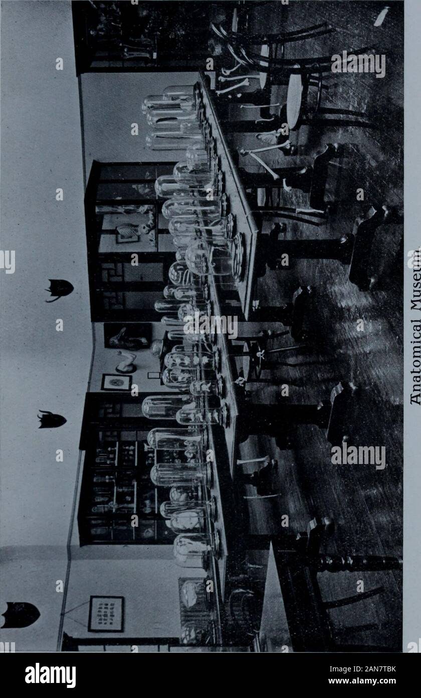 Handbook to the city and University of StAndrews . Bell Pettigrew ...