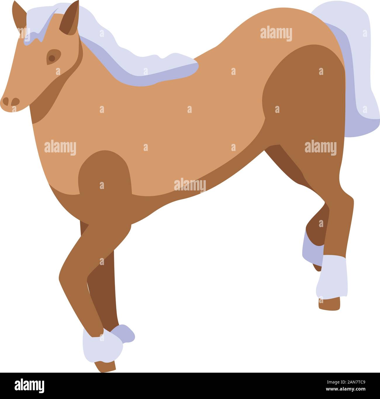 Girl horse saddle ride Cut Out Stock Images & Pictures - Alamy