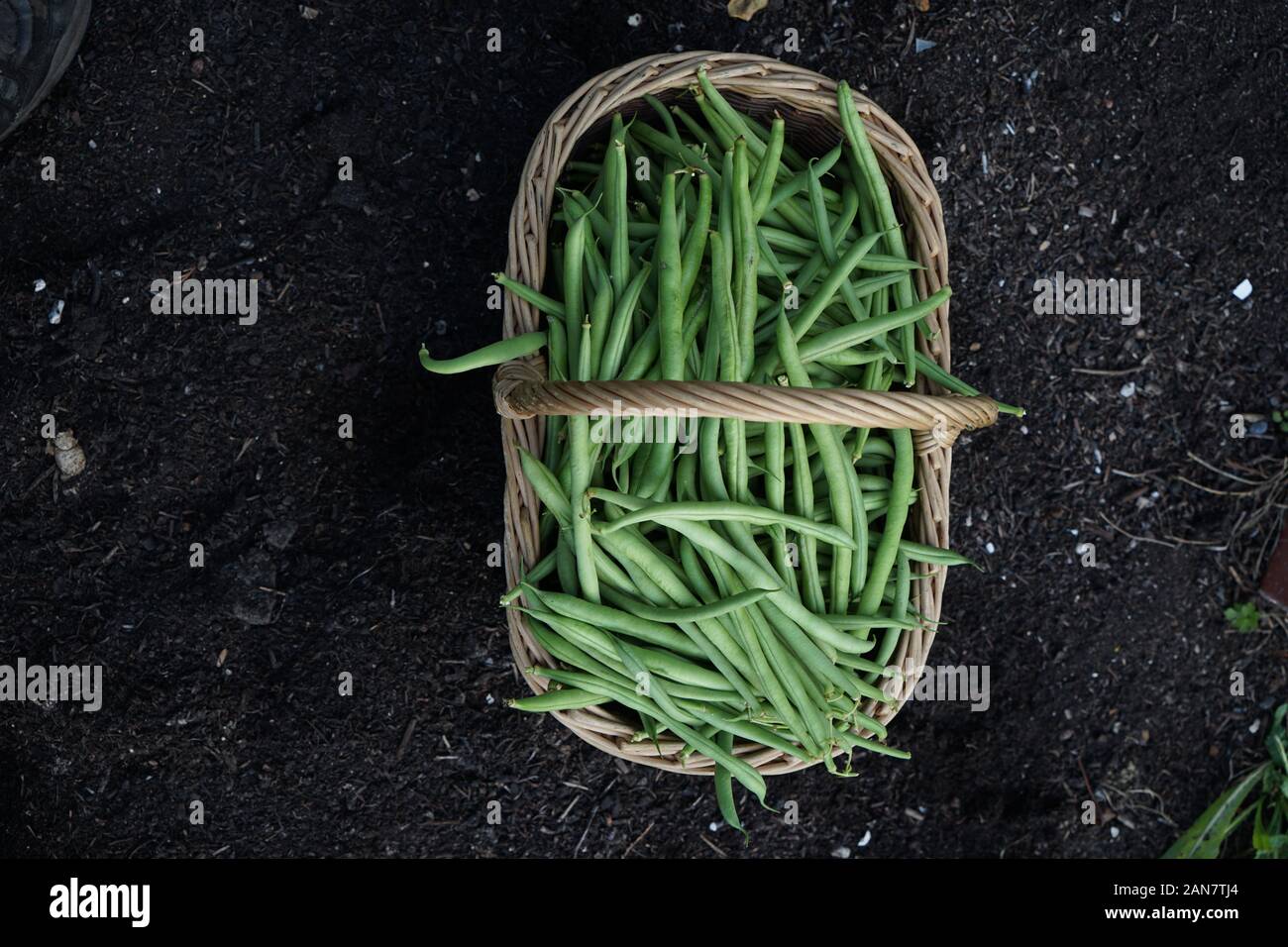 Full of beans hi-res stock photography and images - Alamy