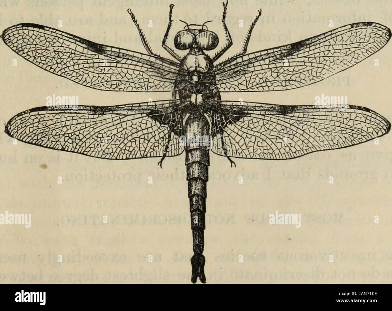 Report of the Commissioners . Fig. 64.. Fig. 65. Fig. 64 shows one of ...