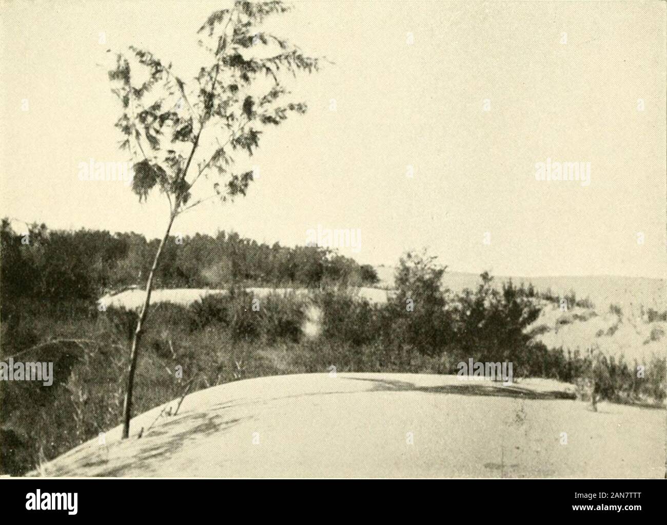Wash day on plantation hi-res stock photography and images - Alamy