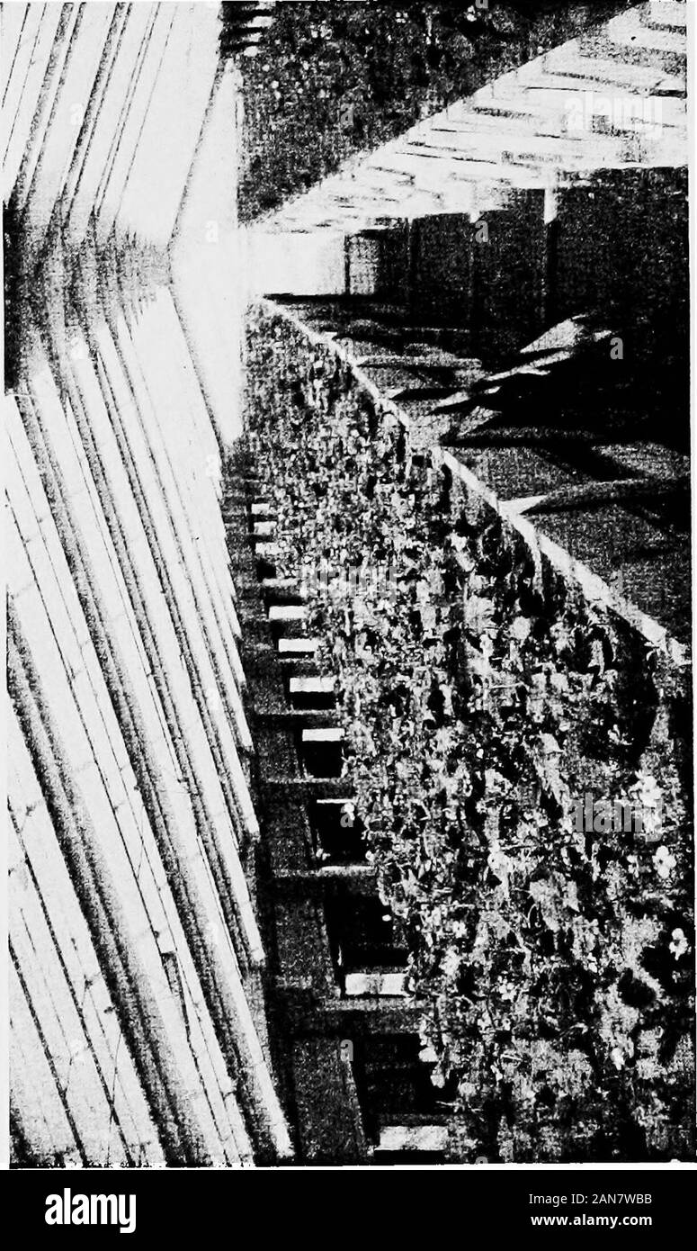 Oaio hi-res stock photography and images - Alamy