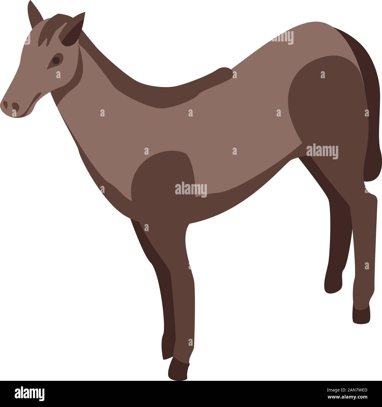 Mammal horse icon, isometric style Stock Vector Image & Art - Alamy