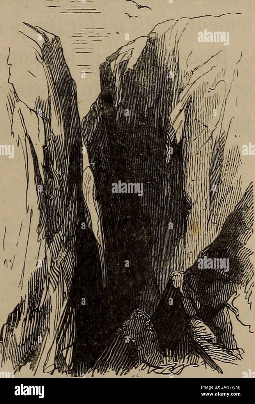 Défilé de pousse pousse hi-res stock photography and images - Alamy