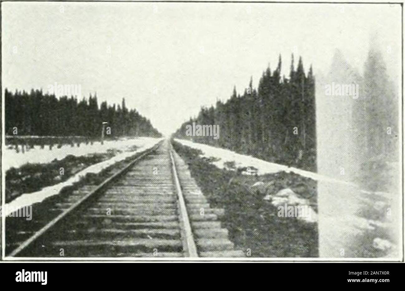 Ontario Sessional Papers, 1913, No.49-113 . Transcontinental office ...