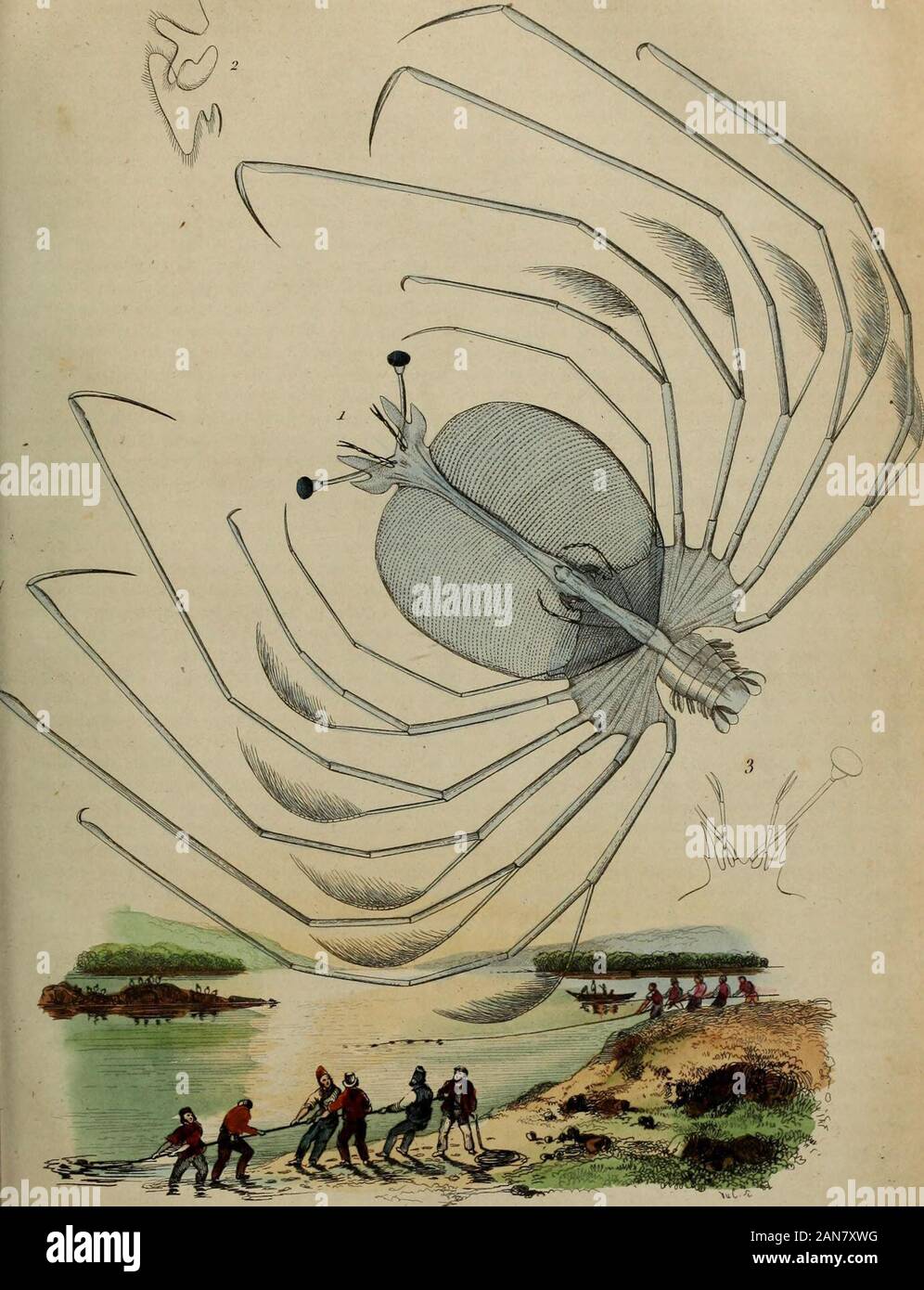 Raphie hi-res stock photography and images - Alamy