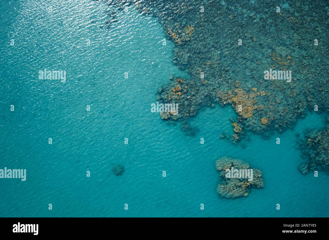 Aerial top view of the blue ocean and coral reef on sunny day. Sea ...