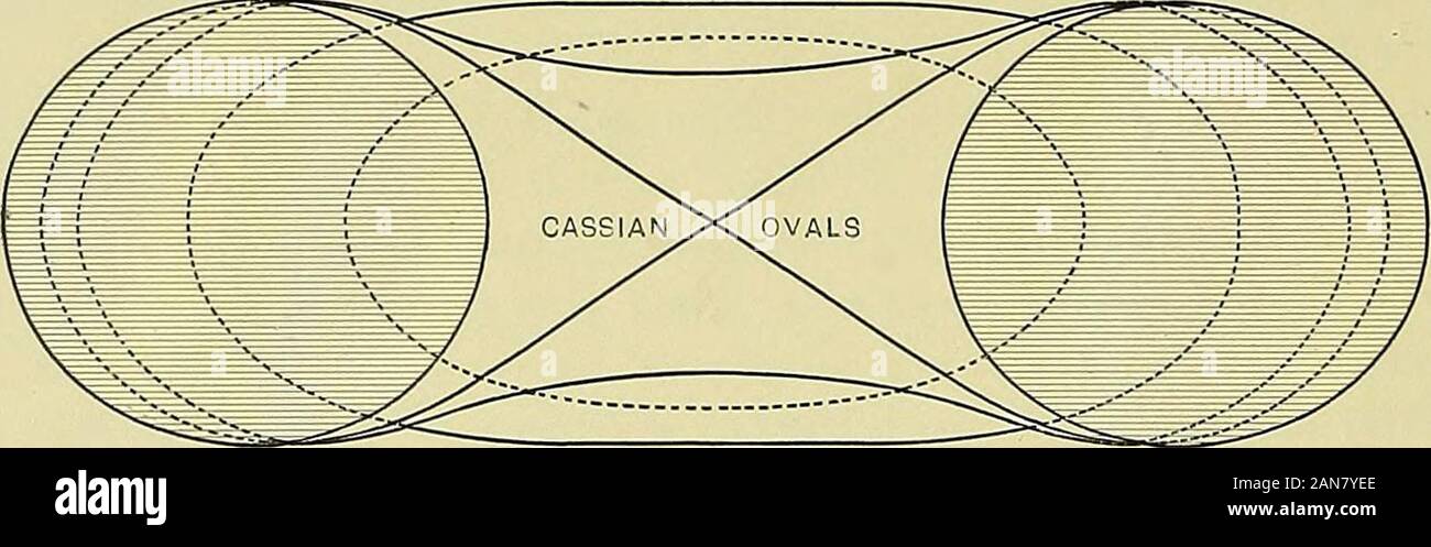 Cassini Oval Face Shape