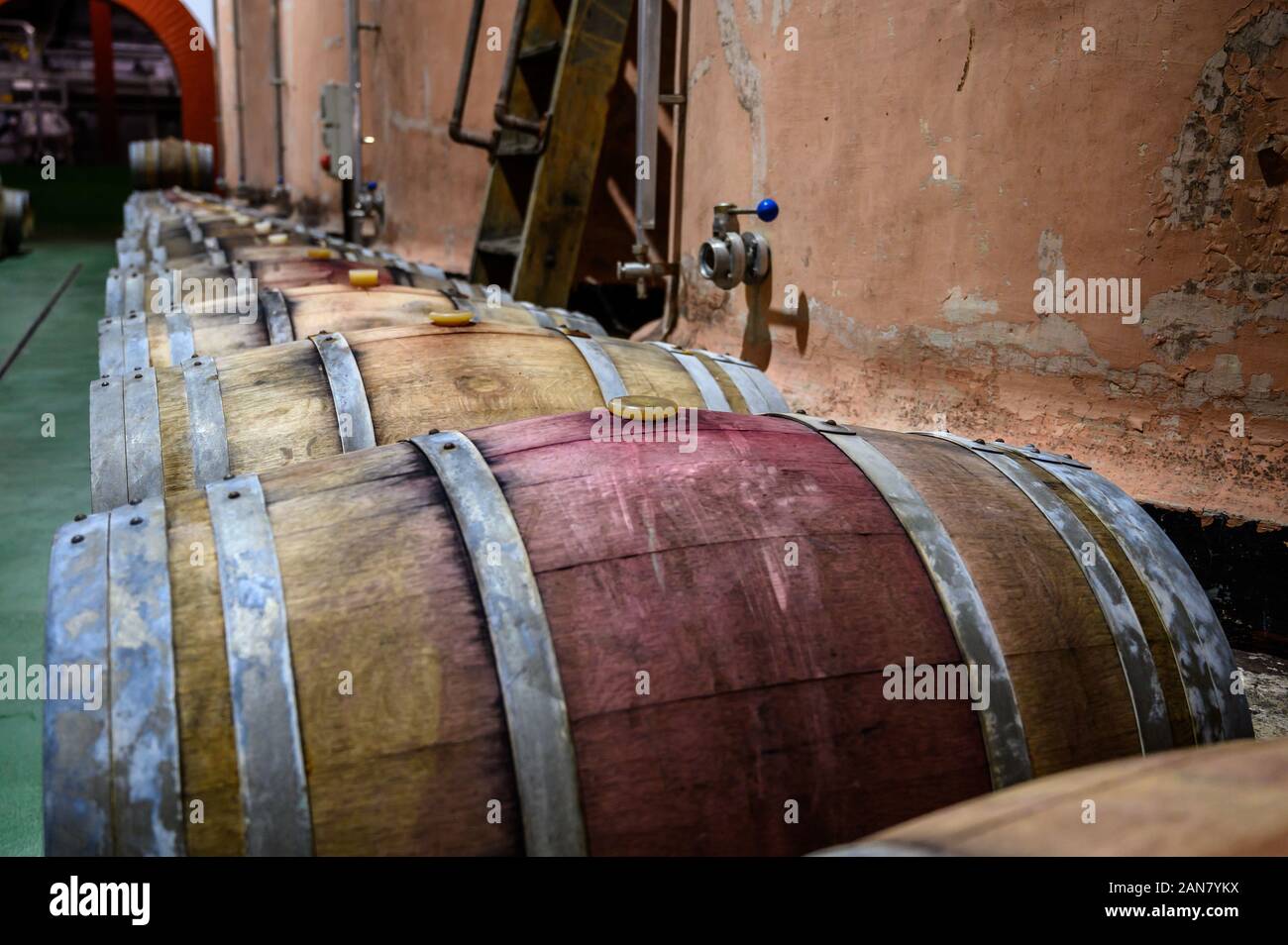 Traditional winery bodega on south of La Palma island with steel or ...
