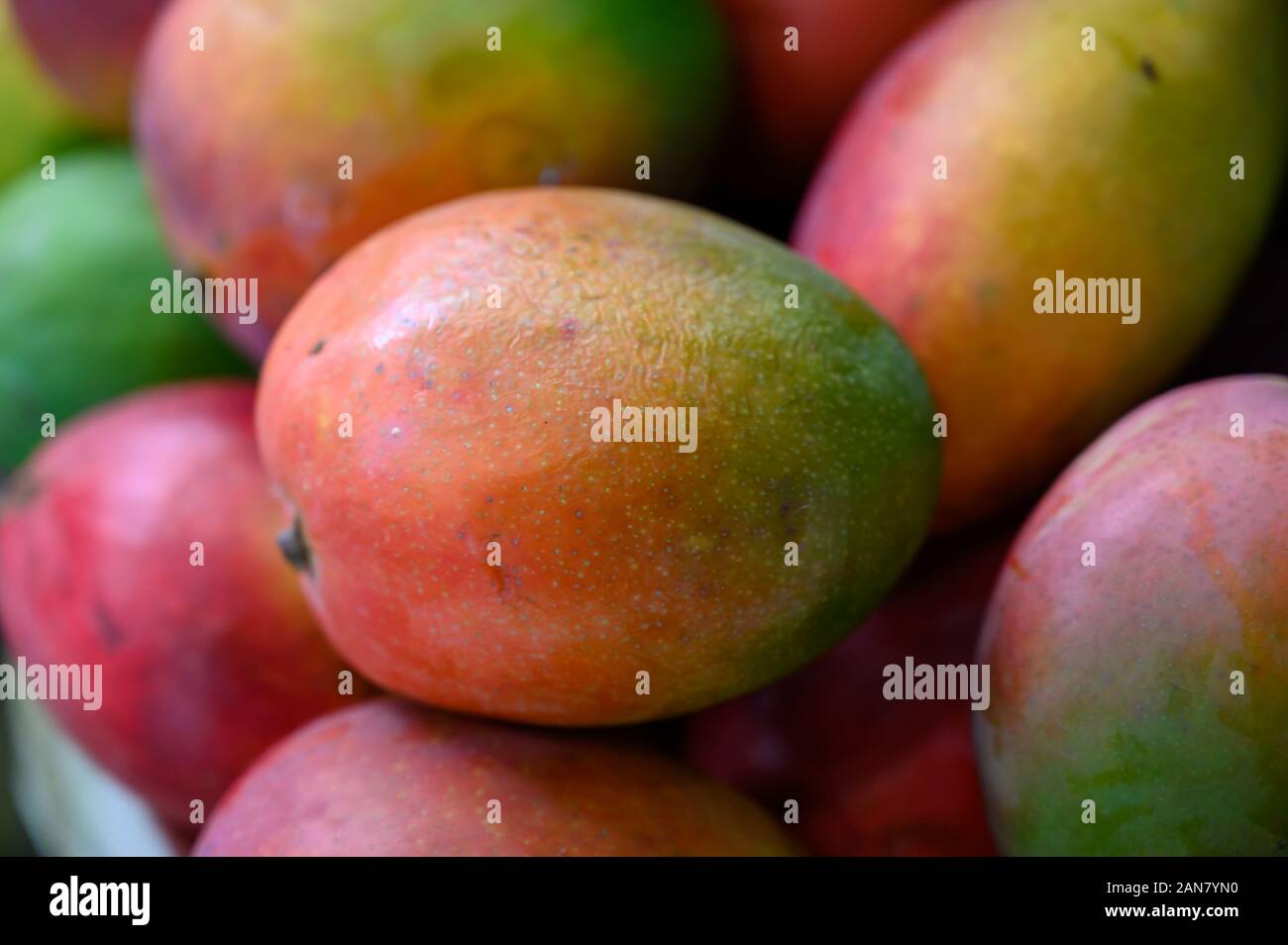 Fresh ripe sweet yellow mango fruits close up Stock Photo - Alamy