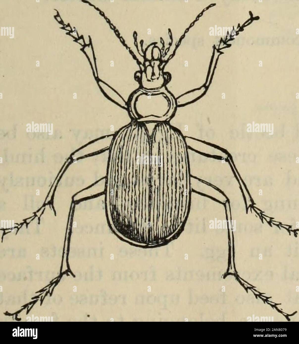 Report of the Commissioners . way. Some of them are large and handsome ...