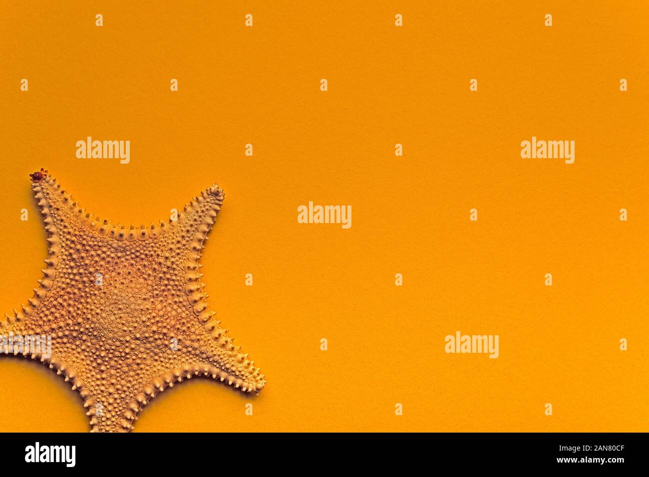 Starfish over yellow background. View from above Stock Photo - Alamy