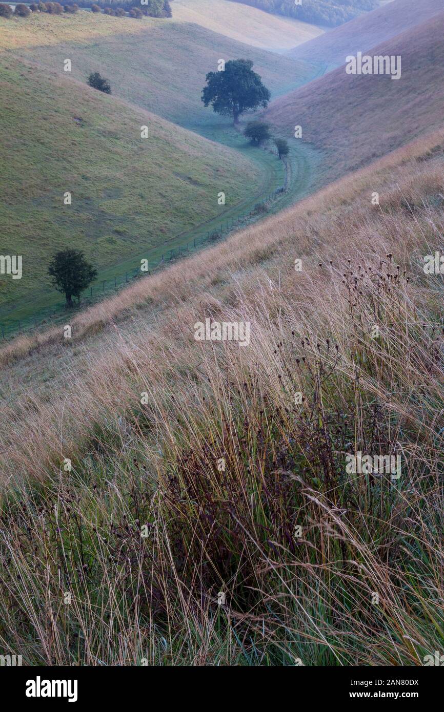 Horse Dale, Huggate, Yorkshire Wolds Stock Photo - Alamy