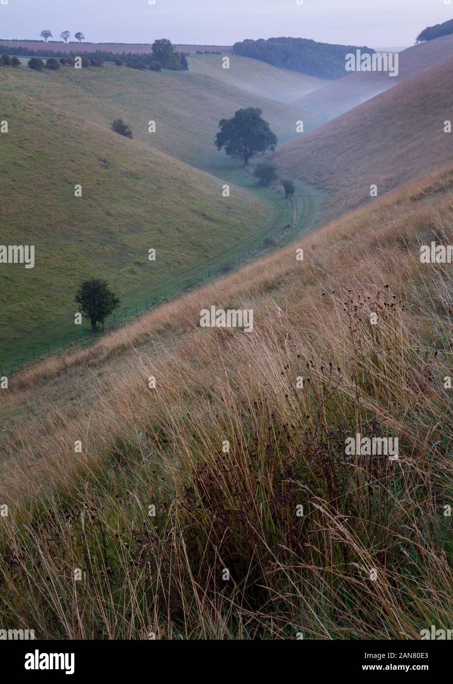 Horse Dale, Huggate, Yorkshire Wolds Stock Photo - Alamy