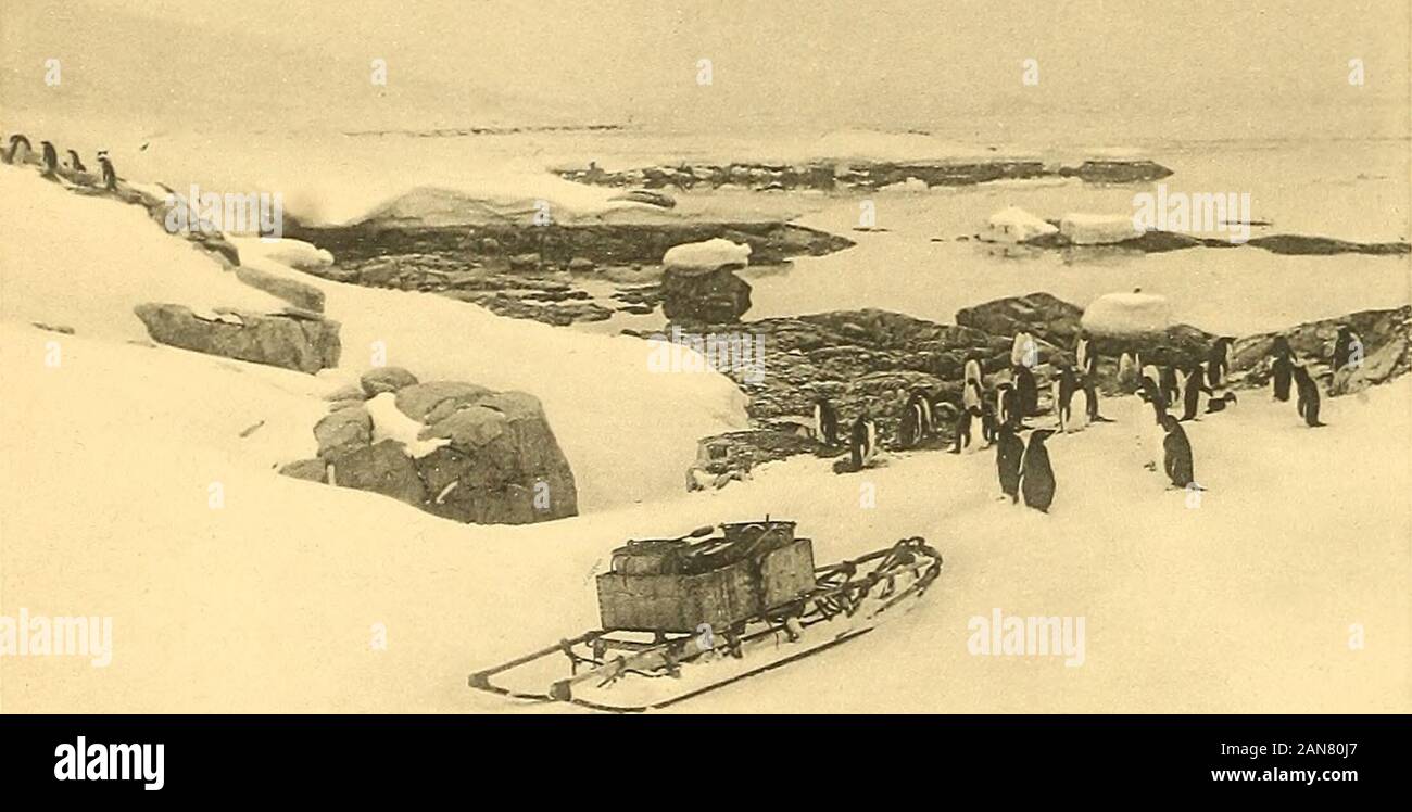 Maree booth hi-res stock photography and images - Alamy