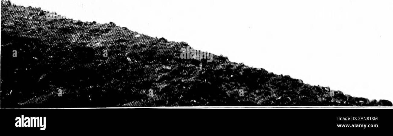 Illinois prairie landscape Black and White Stock Photos & Images - Alamy